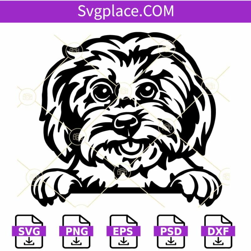 Maltese Peeking SVG, Maltese Dog Face SVG, Maltese SVG, Maltese Dog ...